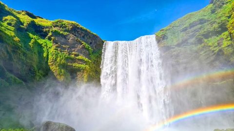 Contemplando la impermanencia de la vida | Paramita