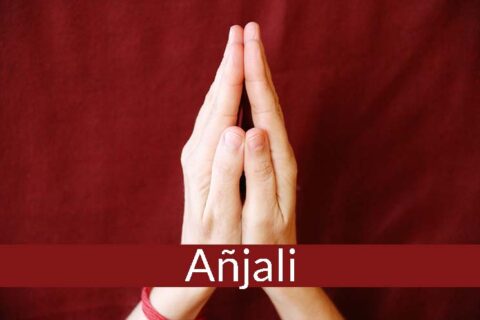 Mudras habituales del budismo tibetano: su raíz y uso | Paramita