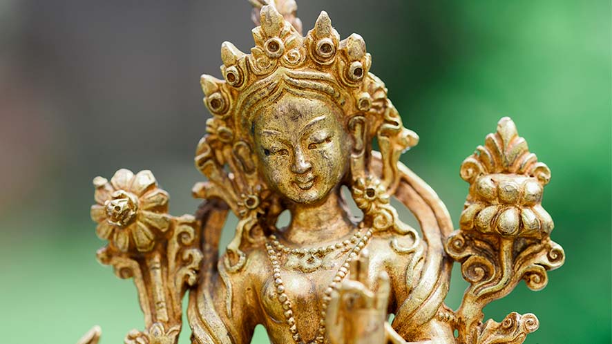 Medita con nosotros – Paramita